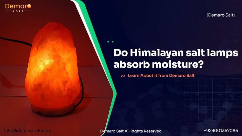 Himalayan Salt Lamp Care Guide