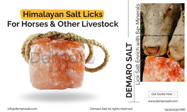 Himalayan Salt Licks for Horses – Demaro Salt