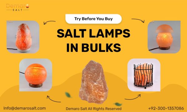 Try Before You Buy: Salt Lamp Sampling Explained