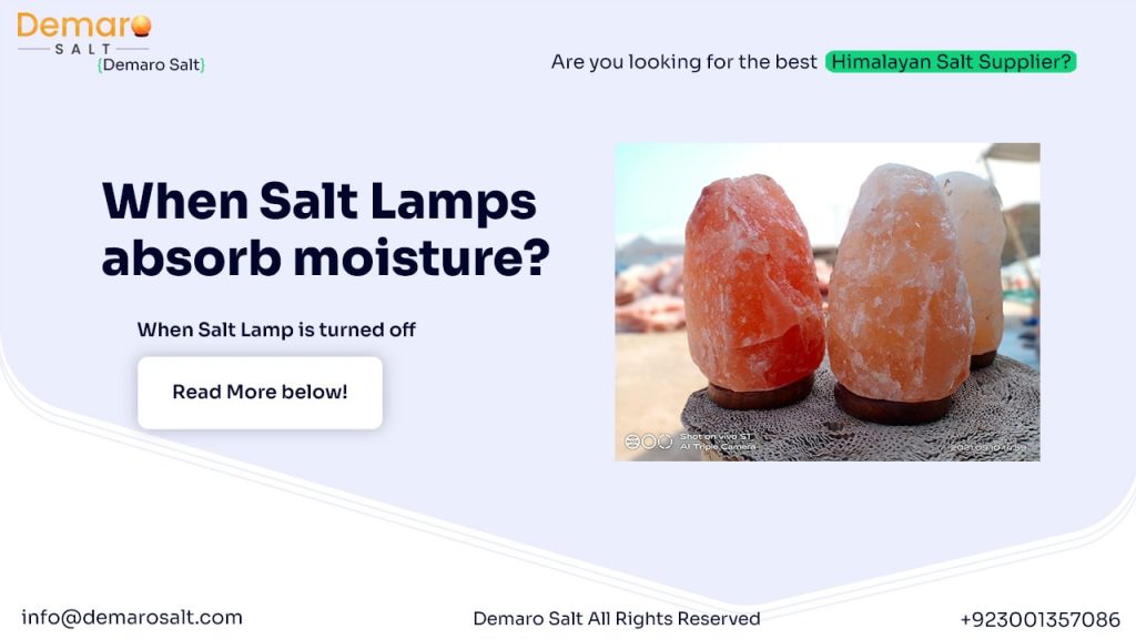 Himalayan Salt Lamp Care Guide
