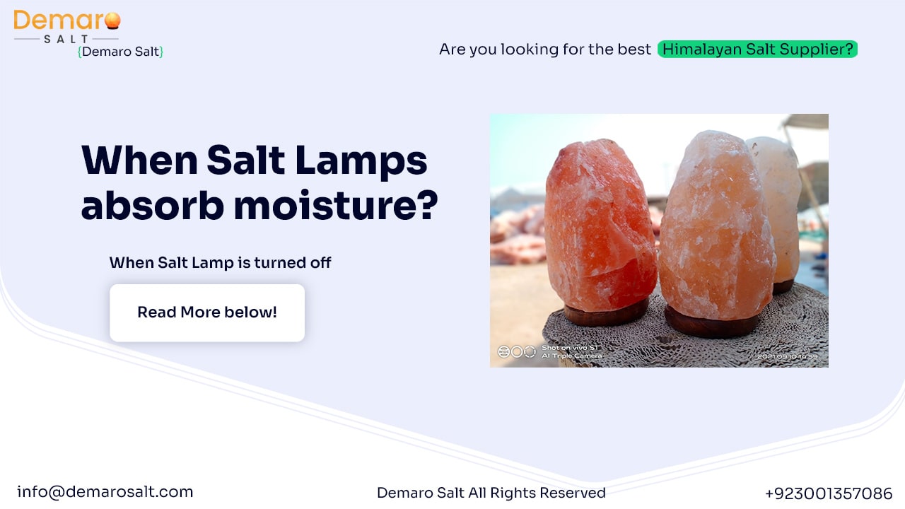 Himalayan Salt Lamp Care Guide