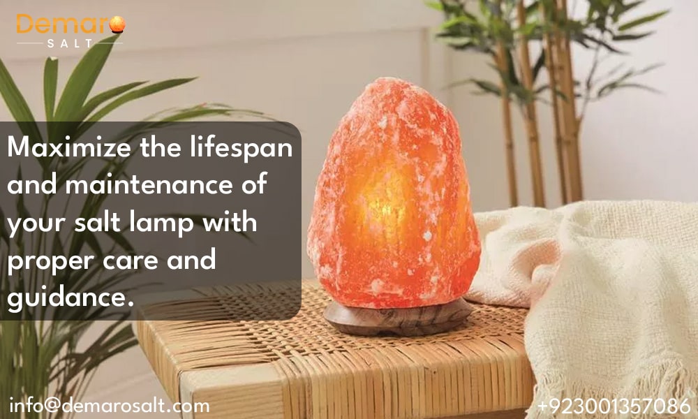Salt Lamp Buying Guide: How to Choose, Use & Maintain?