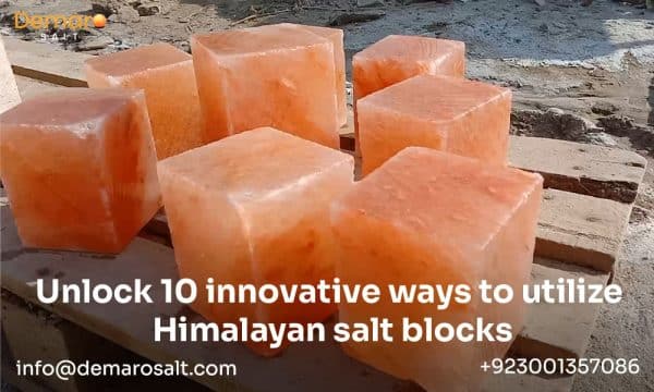 Uses of Himalayan Salt Blocks - Discover Their Versatility!