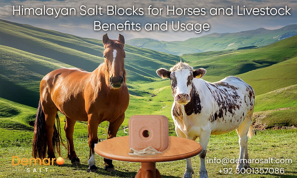 Likit For Horses Why Horses Need Salt Blocks - Animal Feed Salt Mineral ...