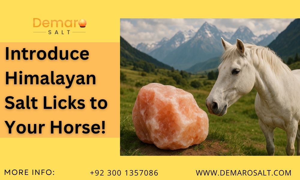 Proper Storage of Himalayan Salt Licks in a Glass Container – Demaro Salt