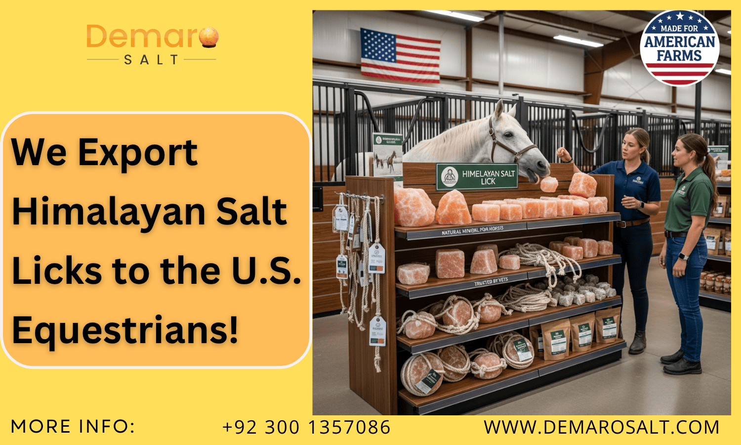 Himalayan Salt Licks for Equestrian Stores in the U.S. – Care & BIZ
